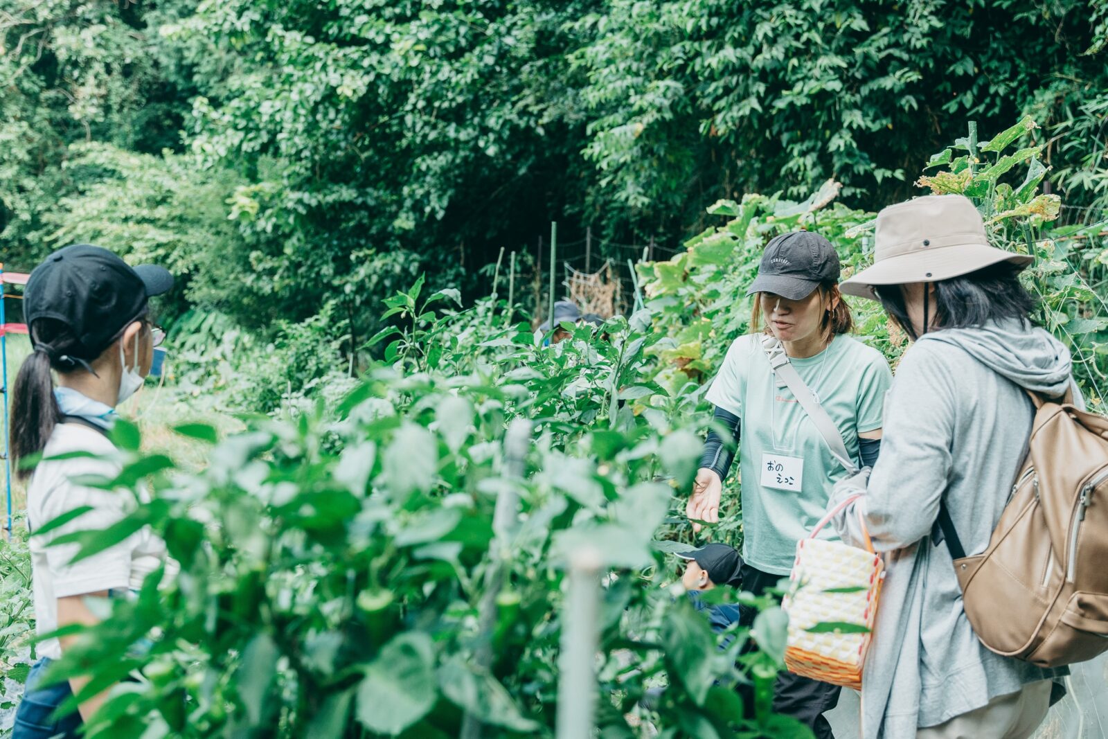 あすかのサマバケ | 夏休みの子ども向け体験プログラムの祭典|奈良県明日香村