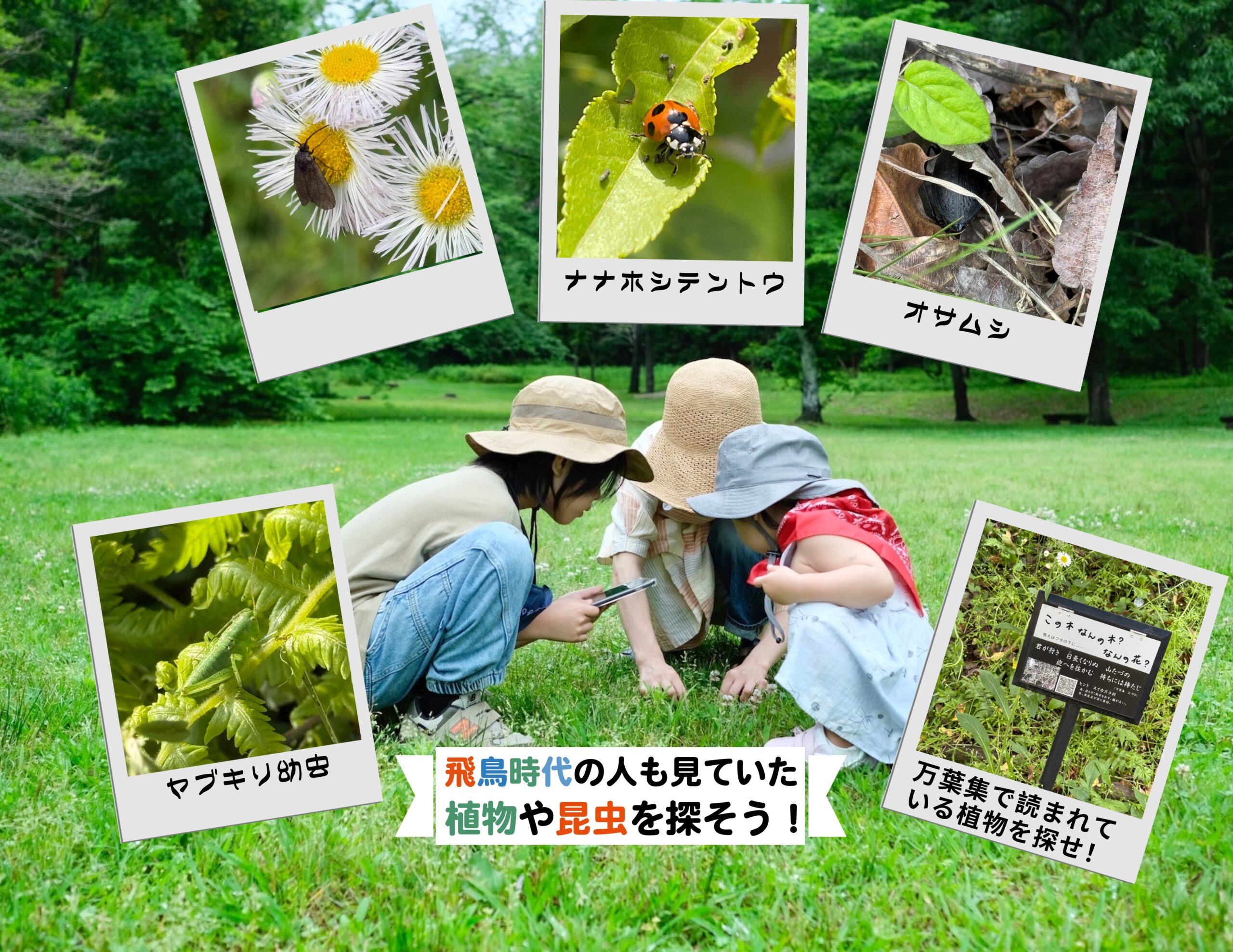 夏の飛鳥を大冒険 飛鳥クエスト | あすかのサマバケ|奈良県明日香村